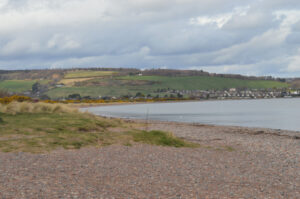 A Highland Blend's guide to spotting dolphins at Chanonry Point