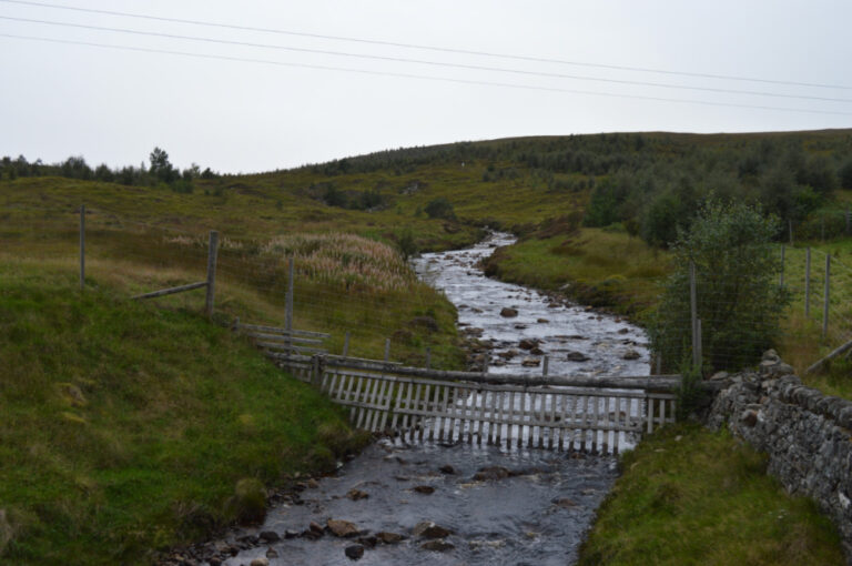 Amazing hospitality at the Altnaharra Hotel, Sutherland (AD)