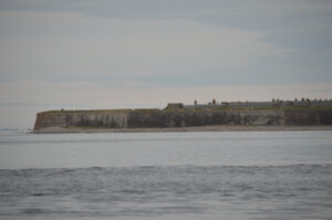 A Highland Blend's guide to spotting dolphins at Chanonry Point