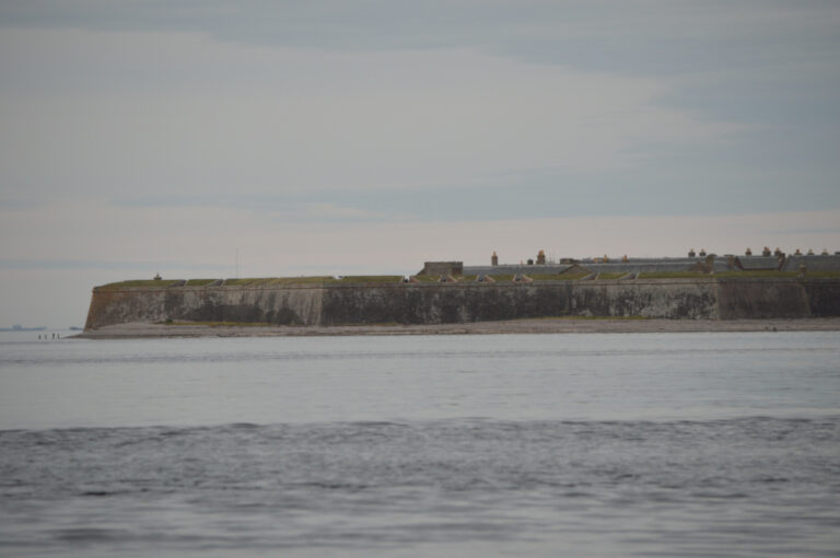 A Highland Blend's guide to spotting dolphins at Chanonry Point
